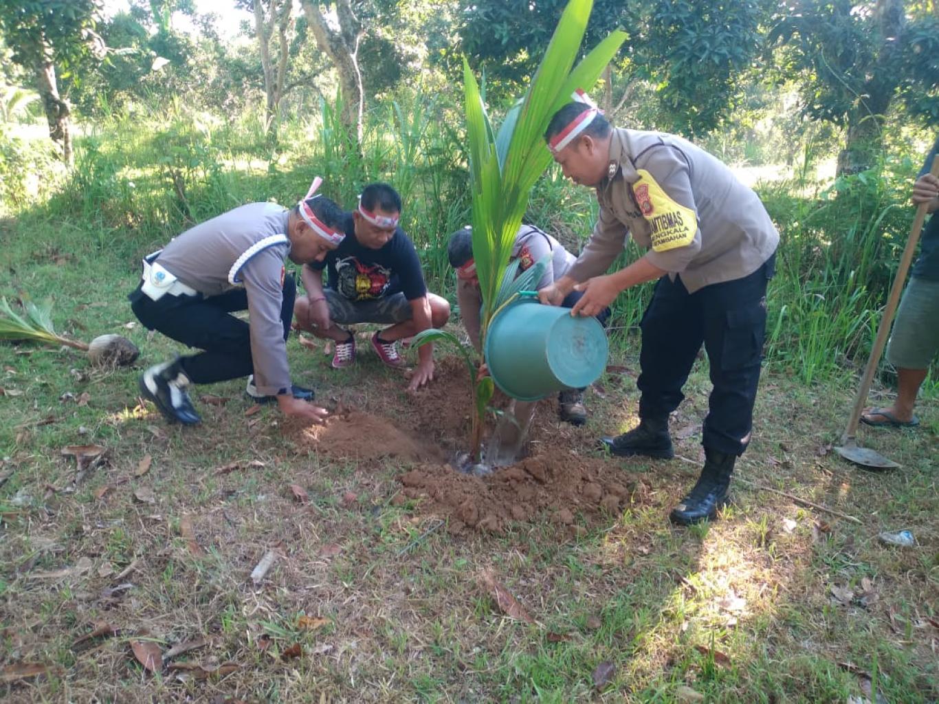 Penanaman pohon secara serentak di Desa Adat Bengkala - Website Desa ...
